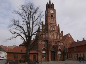 Der Waldmops in Brandenburg – eine Fotosafari auf Loriots Spuren