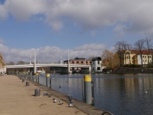 Der Waldmops in Brandenburg – eine Fotosafari auf Loriots Spuren