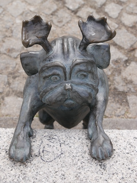 Der Waldmops in Brandenburg – eine Fotosafari auf Loriots Spuren