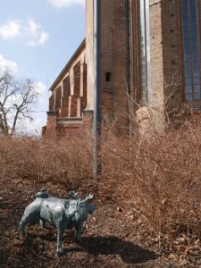 Der Waldmops in Brandenburg – eine Fotosafari auf Loriots Spuren