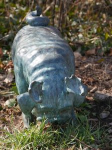 Der Waldmops in Brandenburg – eine Fotosafari auf Loriots Spuren