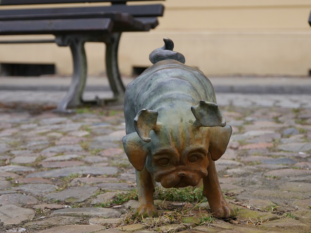 Der Waldmops in Brandenburg – eine Fotosafari auf Loriots Spuren