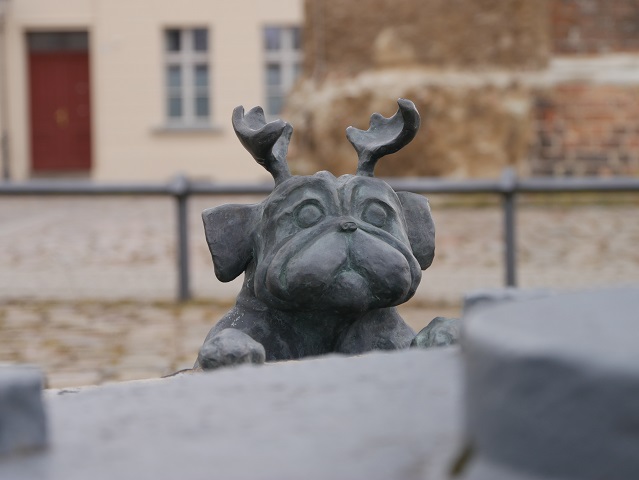 Der Waldmops in Brandenburg – eine Fotosafari auf Loriots Spuren