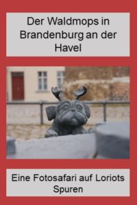 Der Waldmops in Brandenburg – eine Fotosafari auf Loriots Spuren