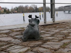 Der Waldmops in Brandenburg – eine Fotosafari auf Loriots Spuren