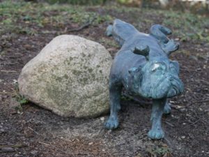 Der Waldmops in Brandenburg – eine Fotosafari auf Loriots Spuren